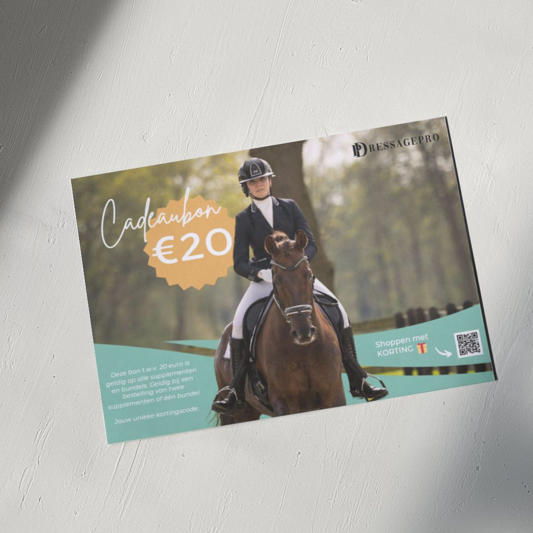 DressagePro Wedstrijdbox – DressagePro Collection