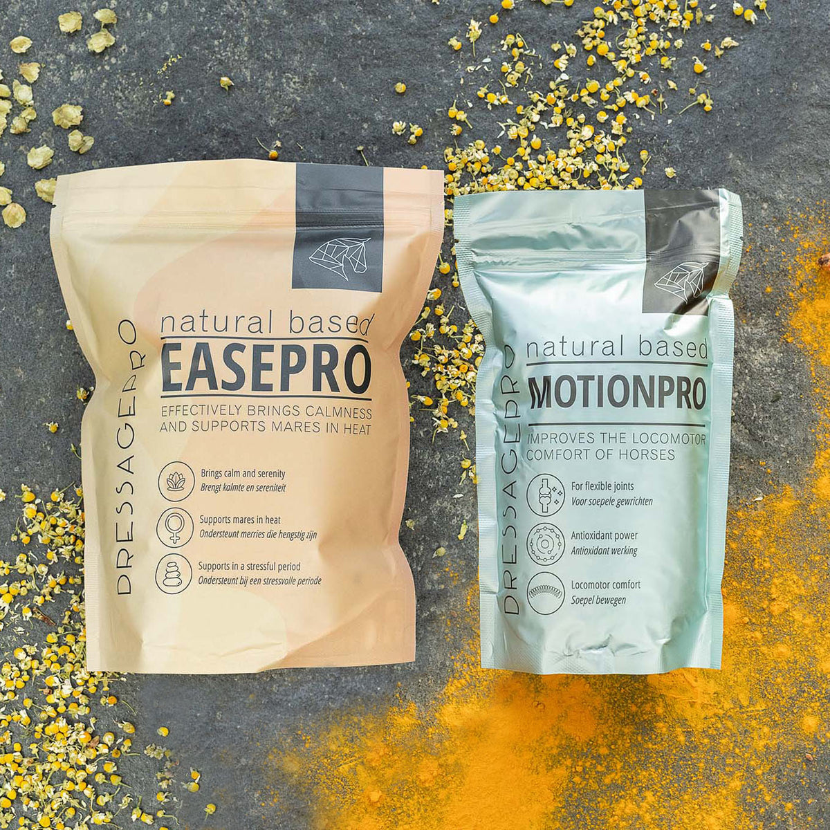 *NEW* Released Bundle: EasePro + MotionPro – DressagePro Collection