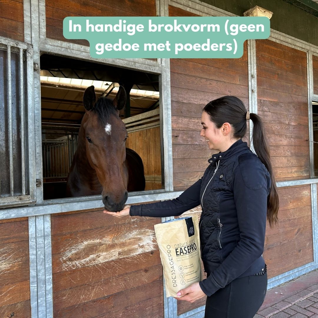EasePro: verminder stress bij jouw paard – DressagePro Collection