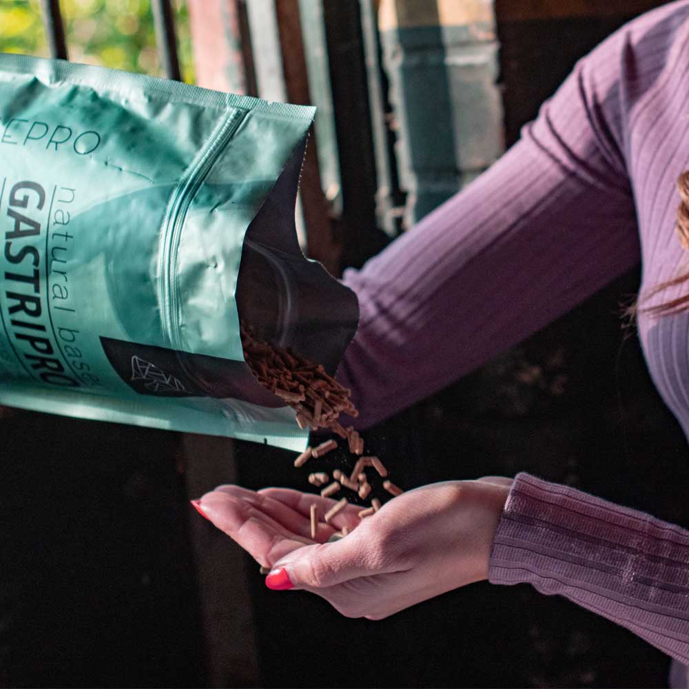 GastriPro – DressagePro Collection