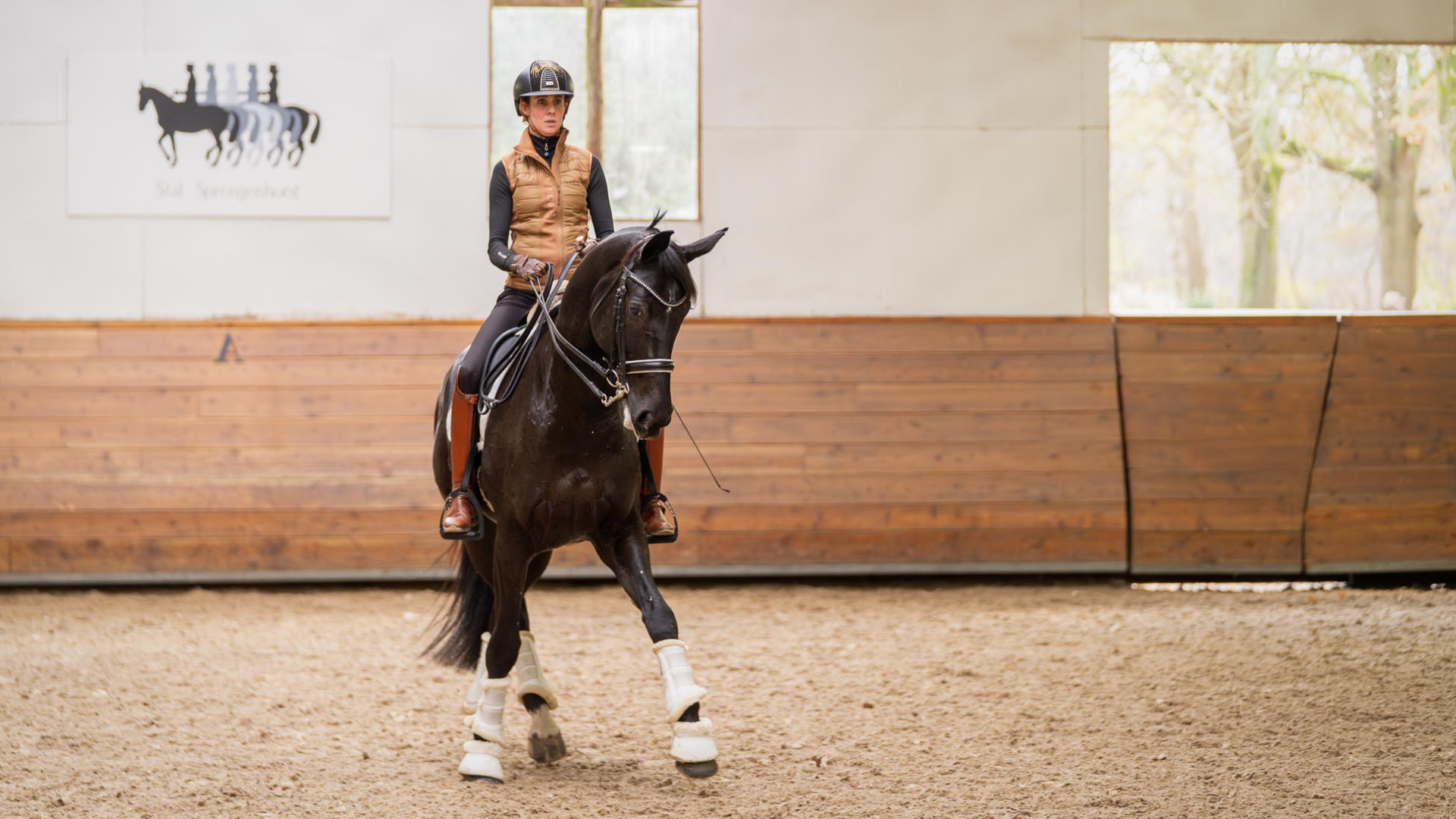 De grootste valkuil bij Losgelatenheid - DressagePro – DressagePro Collection